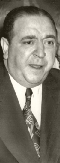 BuffaloMob - Timeline